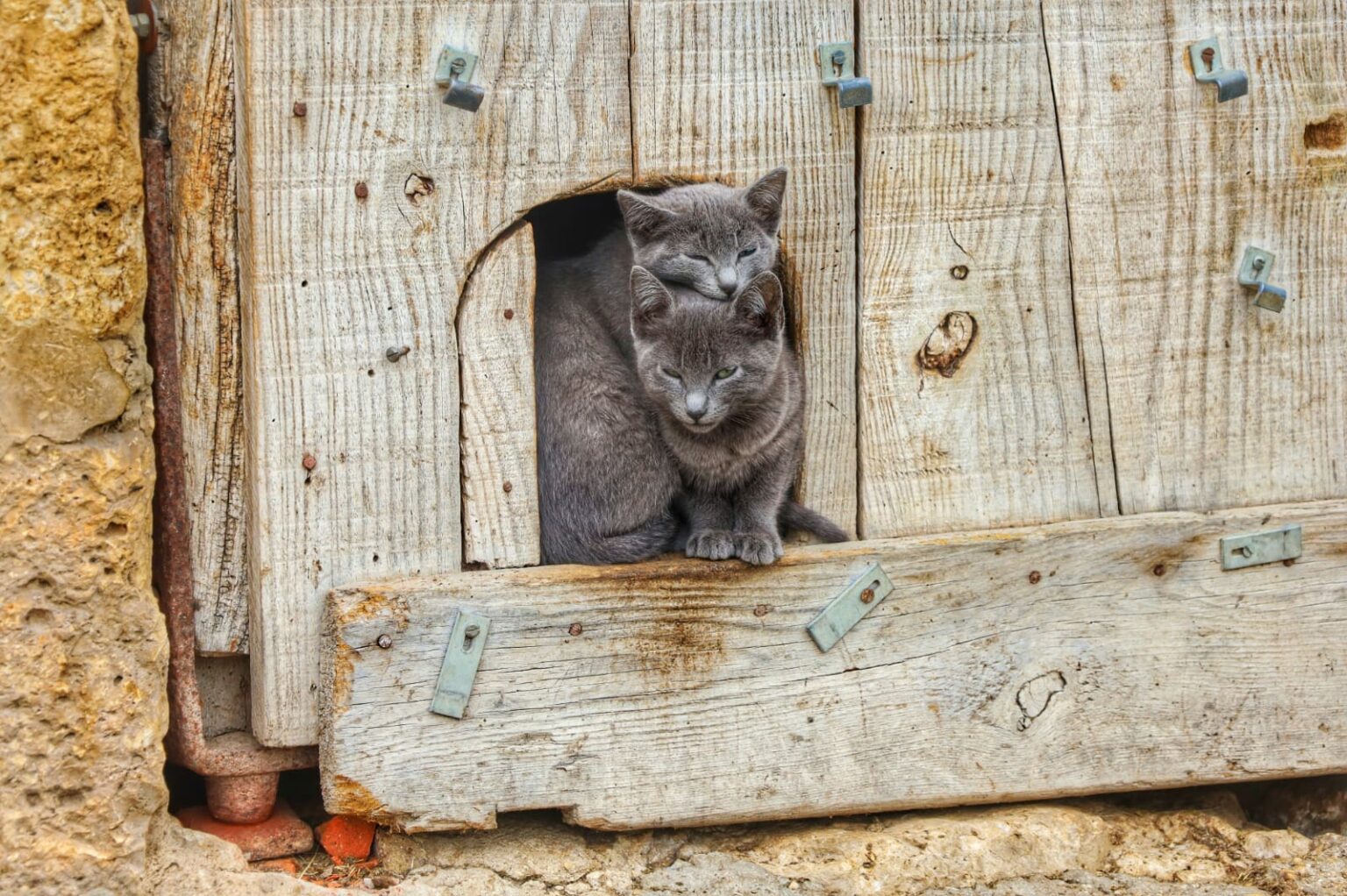 Así es mi vida con daño cerebral adquirido